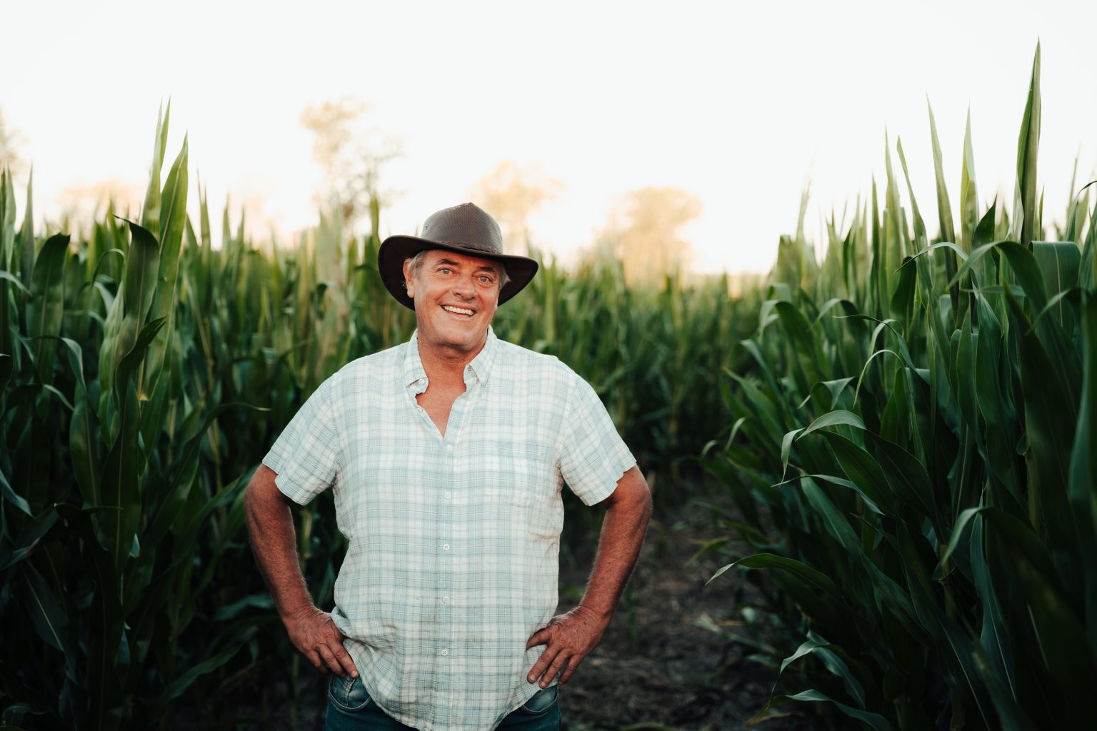 La Crinera: un laberinto de maíz con propósito espiritual y turístico ...